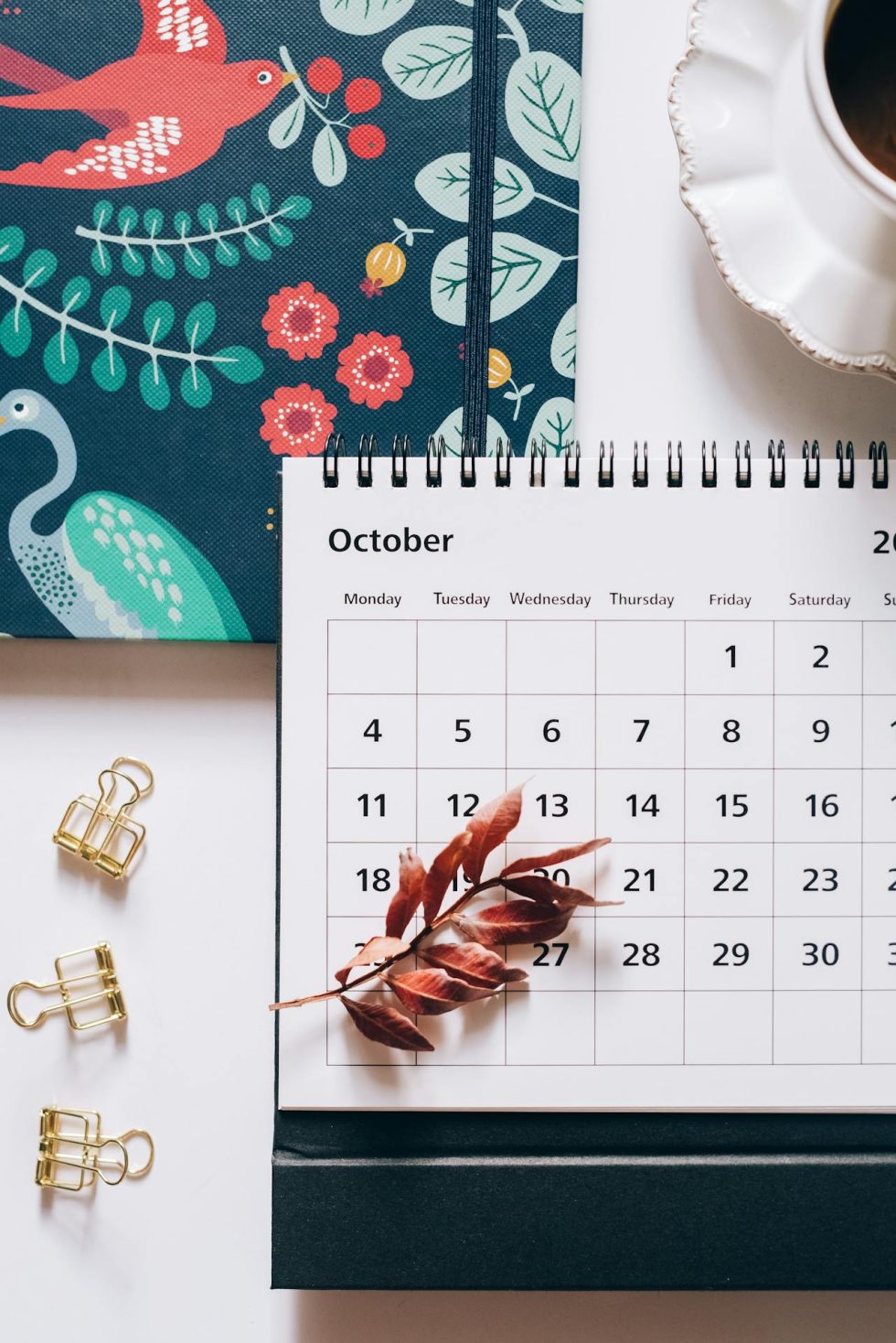 Home - Manage My Calendar